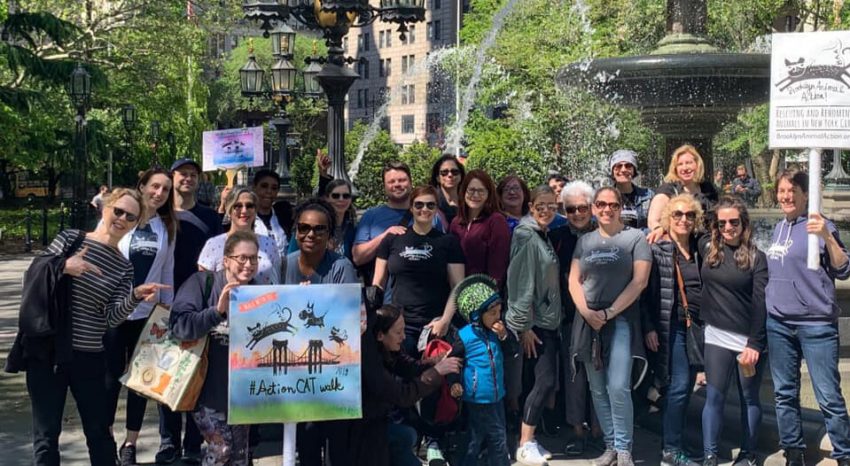 Our Team & Mission - Brooklyn Animal Action